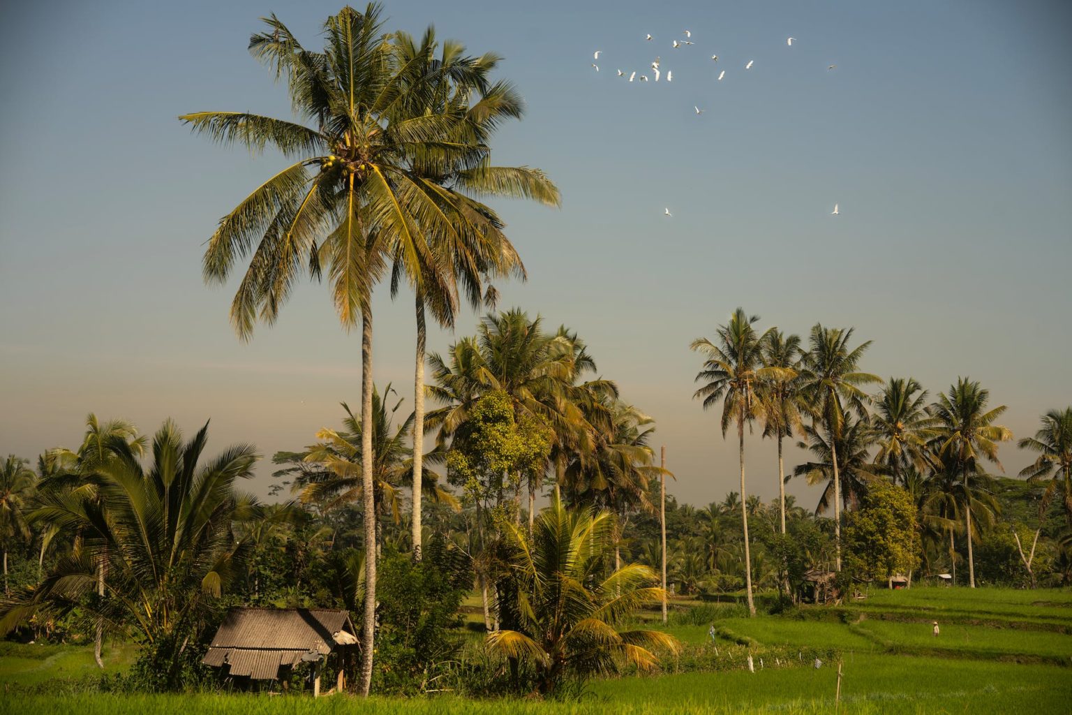 Remont i metamorfoza - jak odświeżyć swój dom bez konieczności ...
